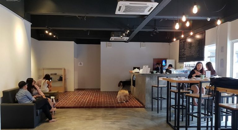 Top 10 Pet Cafes in KL and Selangor With Adorable Pets - KL Foodie