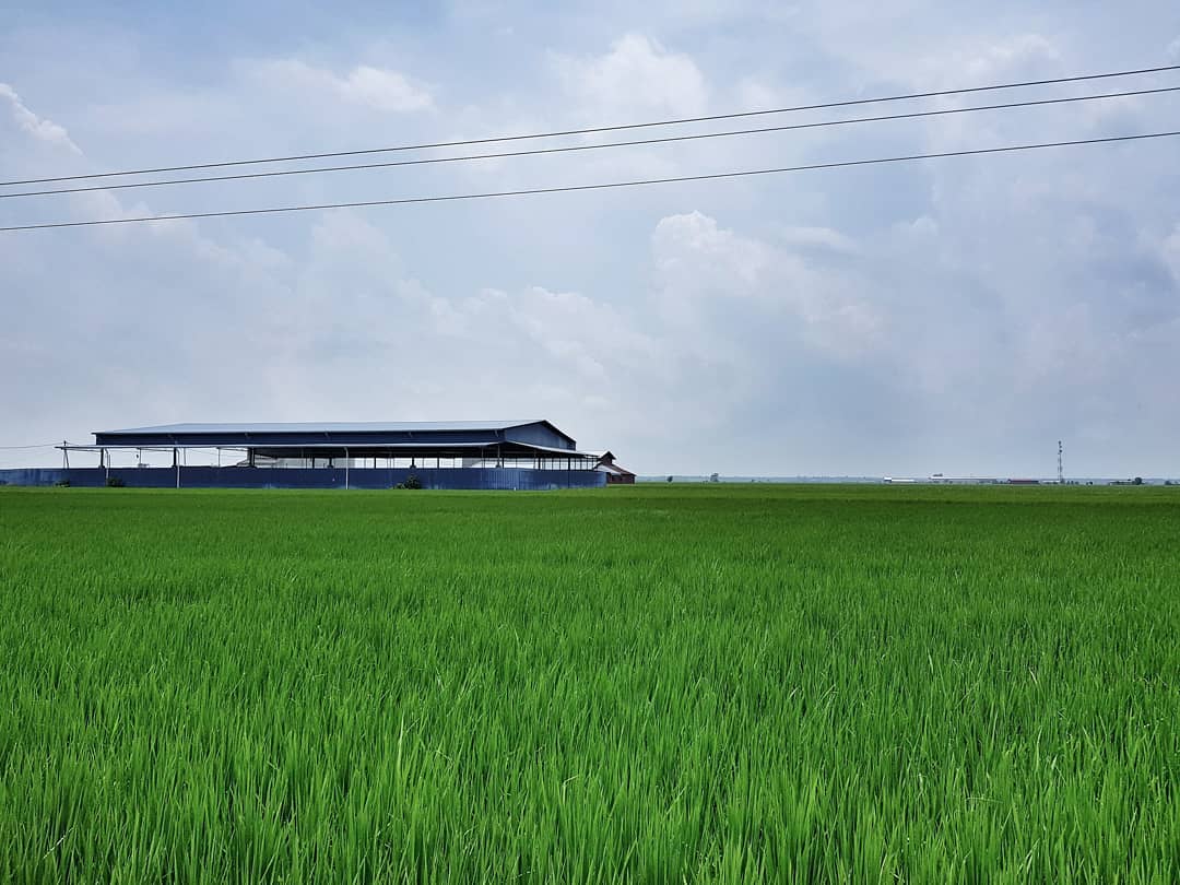 10 Beautiful Nature Places In Selangor Perfect For Short Getaways - KL ...