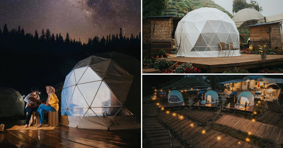 This Geodesic Dome In Cameron Highlands Lets You Relax Among The Starry ...