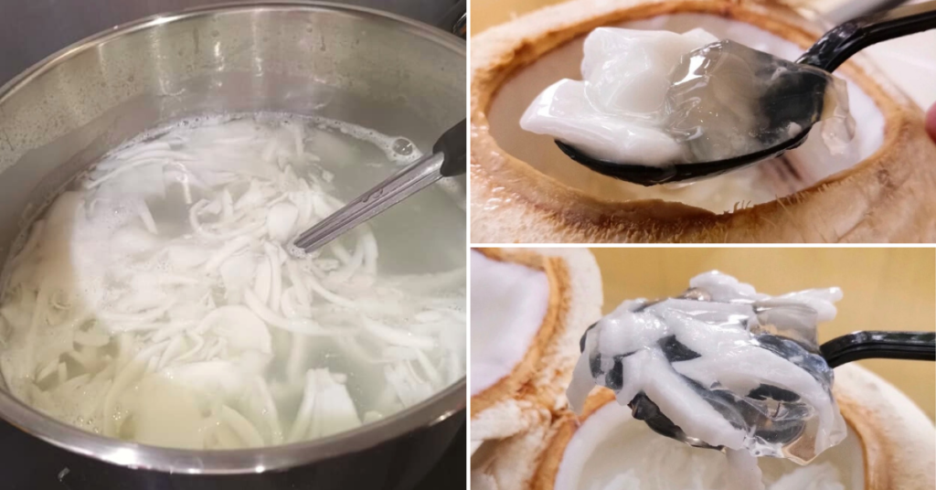 Here's How To Make Refreshing Coconut Jelly Using Only 5 Ingredients ...