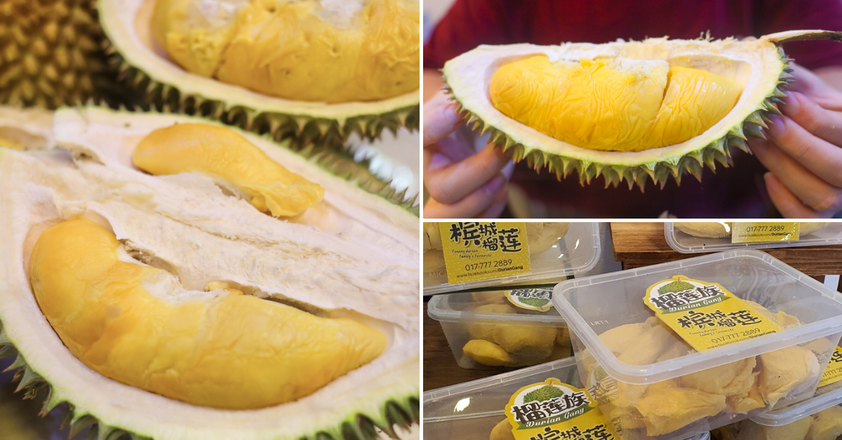 More Than 20 Varieties Of Fresh Durians From Balik Pulau Penang's ...