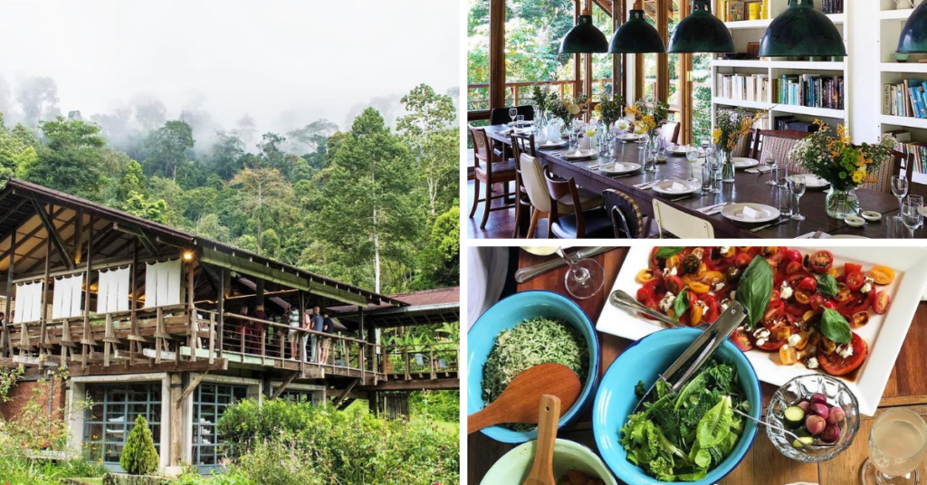Experience Farm-To-Table Meals Overlooking Beautiful Views At This Farm ...