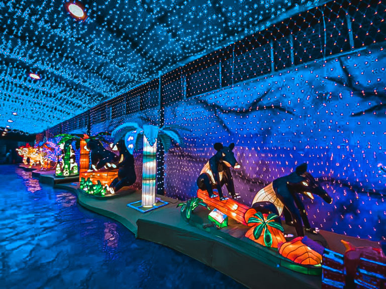 The 99 Wonderland Park (Wildlife Park in the City) Has Malayan Tapir in ...
