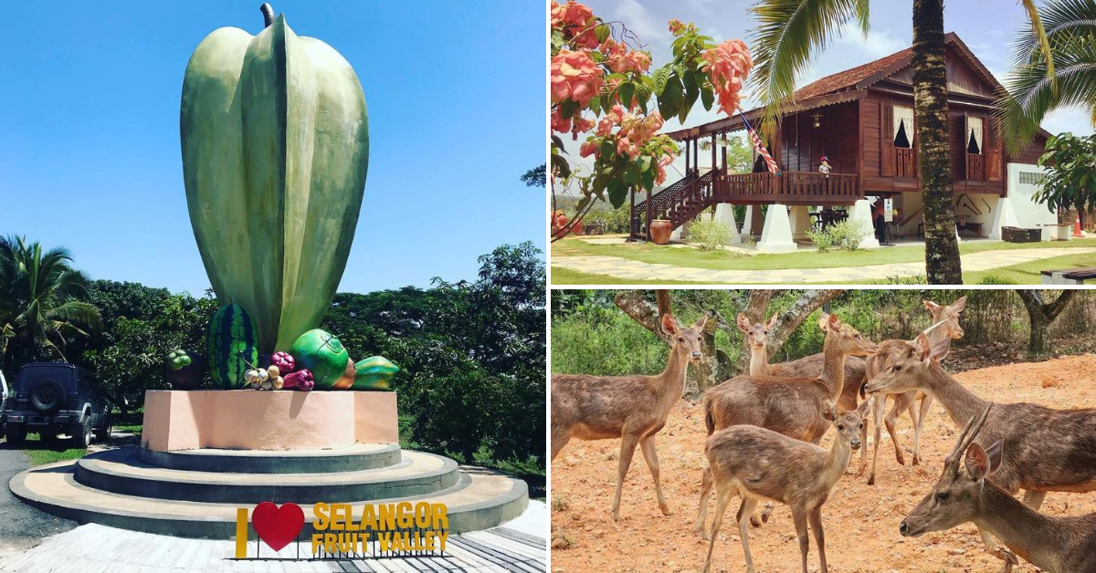 This Gigantic Fruit Valley Near The City Is Where You Can Go Fruit ...