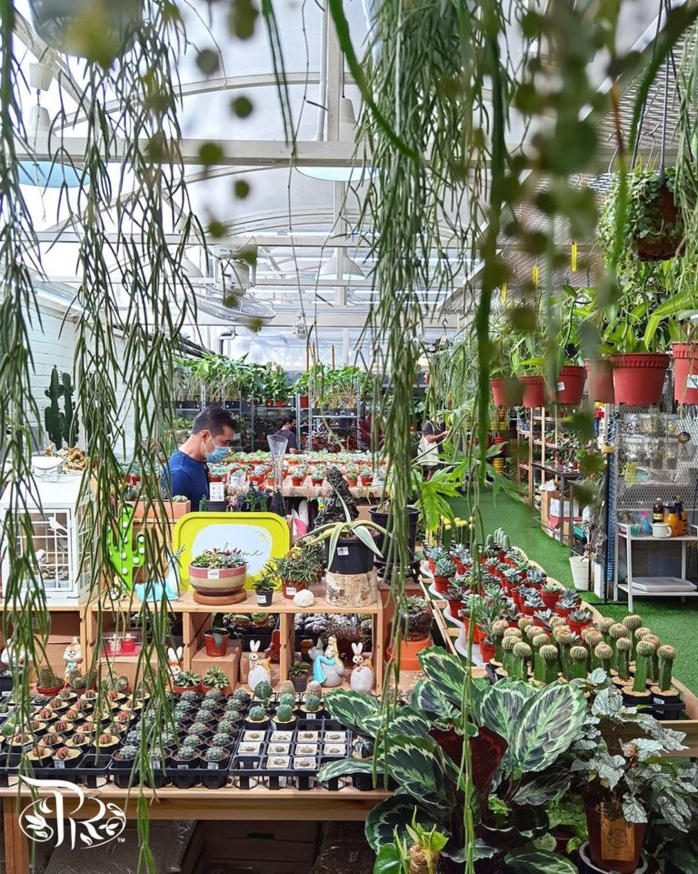 This Wholesale Florist In KL Sells Affordable Flowers From Only RM1 ...