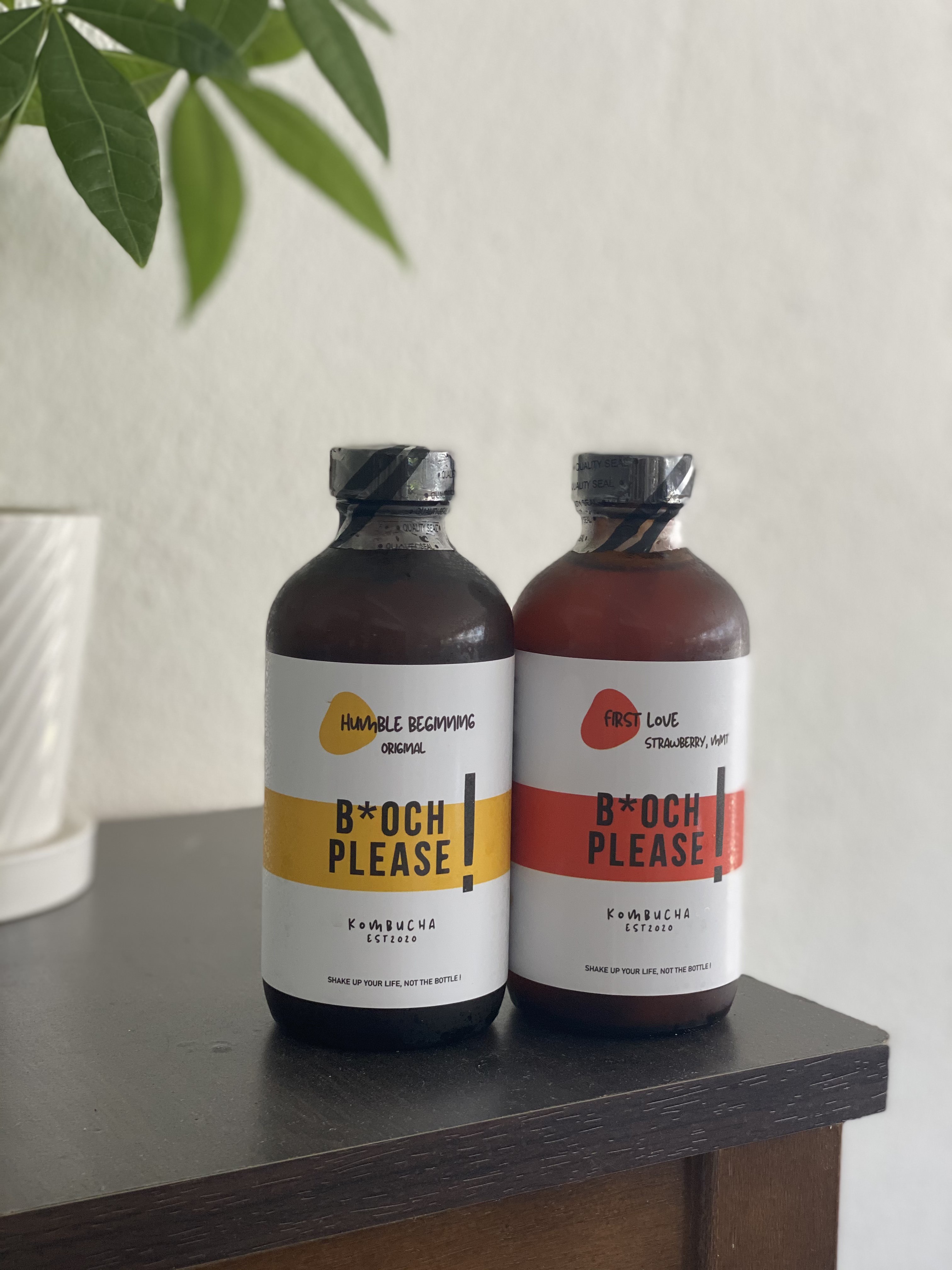 Get All Your Kombucha Needs From This Local Brand That Has 6 Unique ...