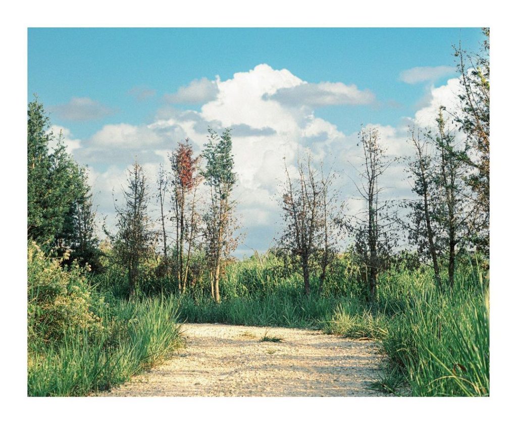 M'sian Photographer Captured Countryside Sceneries And They Look Like ...