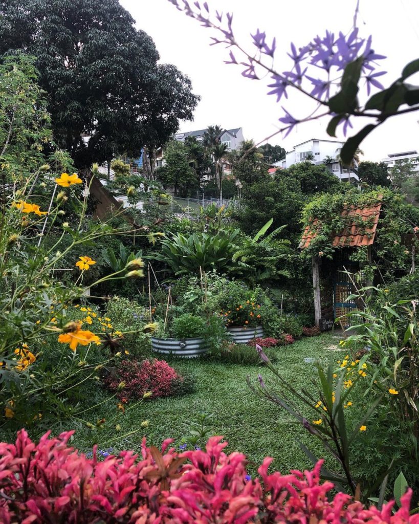 This Community Garden & Farm Nestled In Bangsar Is A Hidden Gem For A ...