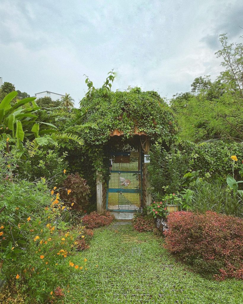 This Community Garden & Farm Nestled In Bangsar Is A Hidden Gem For A ...