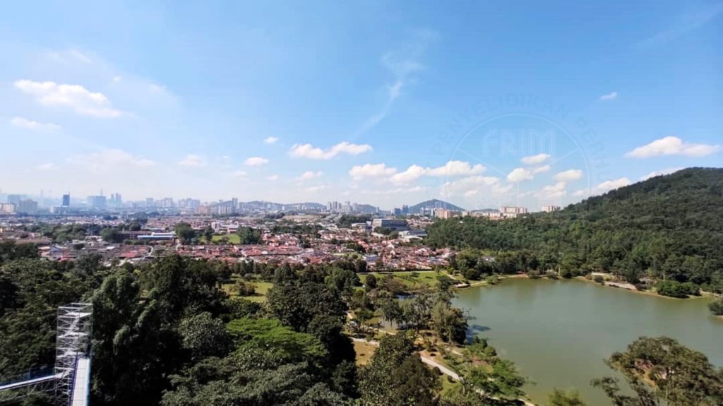 FRIM's Forest Skywalk In KL With Beautiful Panoramic Views Of The City ...