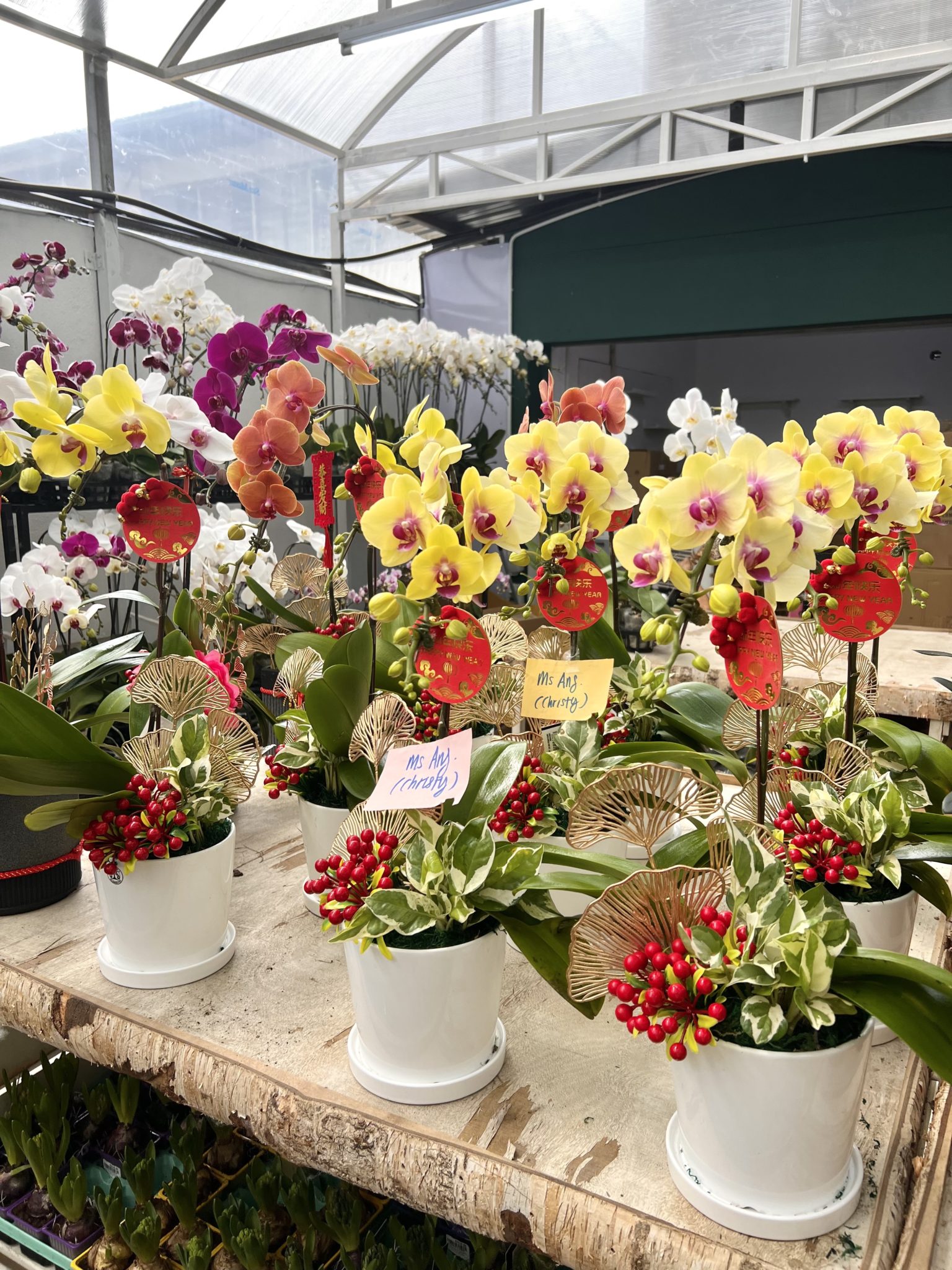 This Wholesale Florist In KL Is The Place To Go For Affordable Flowers ...