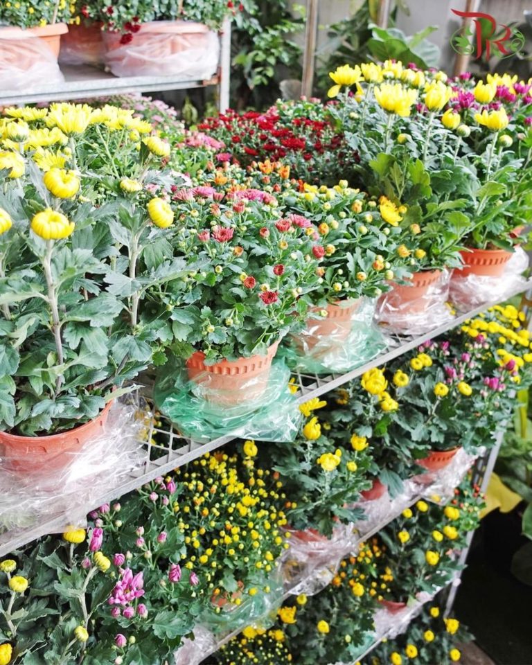 This Wholesale Florist In KL Is The Place To Go For Affordable Flowers ...