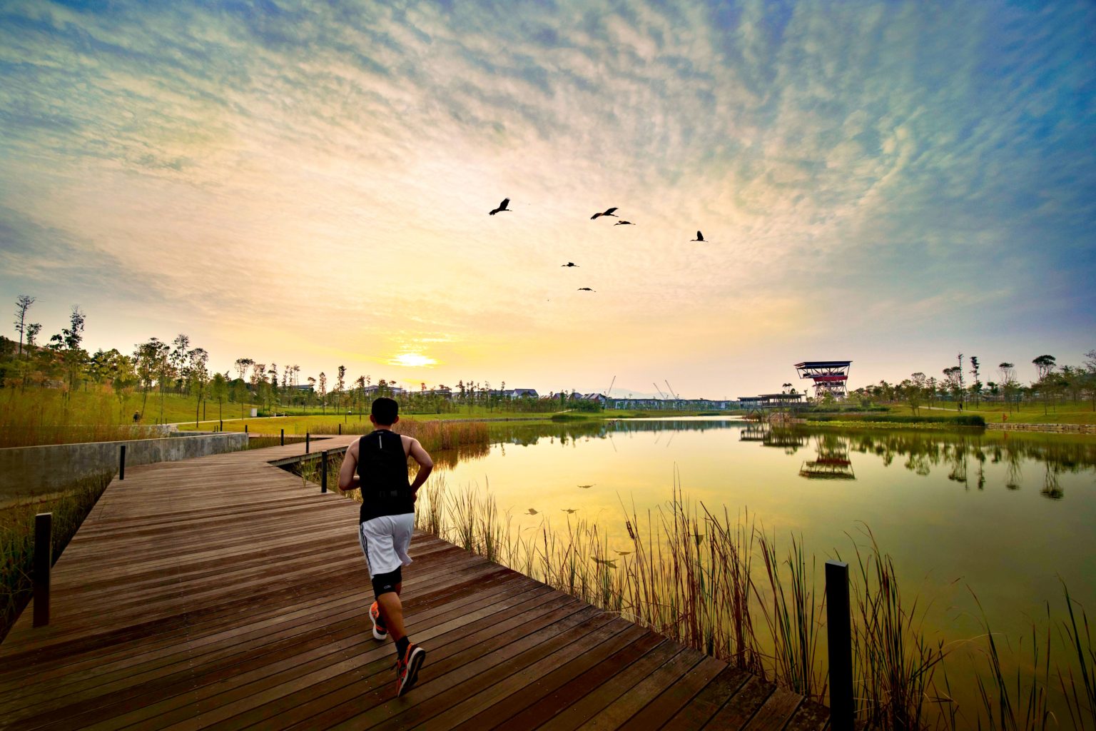 6 Eco-friendly Activities In Gamuda Gardens For You And Your Kids This ...