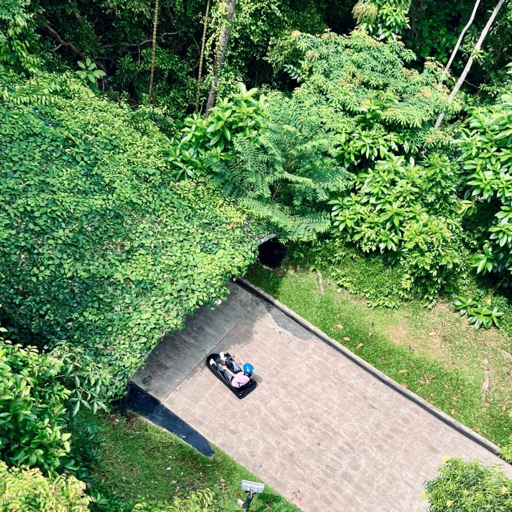 Malaysia's FIRST Skyline Luge Activity Park Set To Open At Gamuda ...