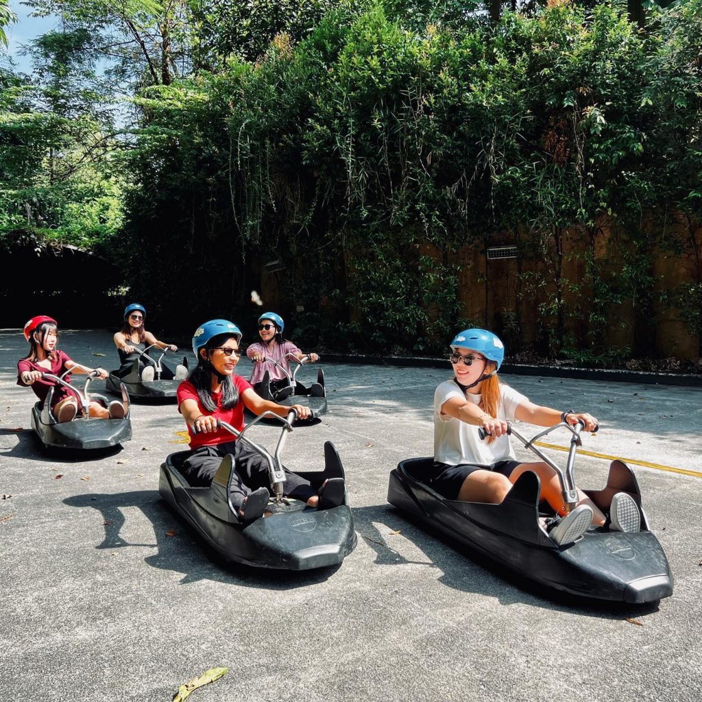 Malaysia's FIRST Skyline Luge Activity Park Set To Open At Gamuda ...