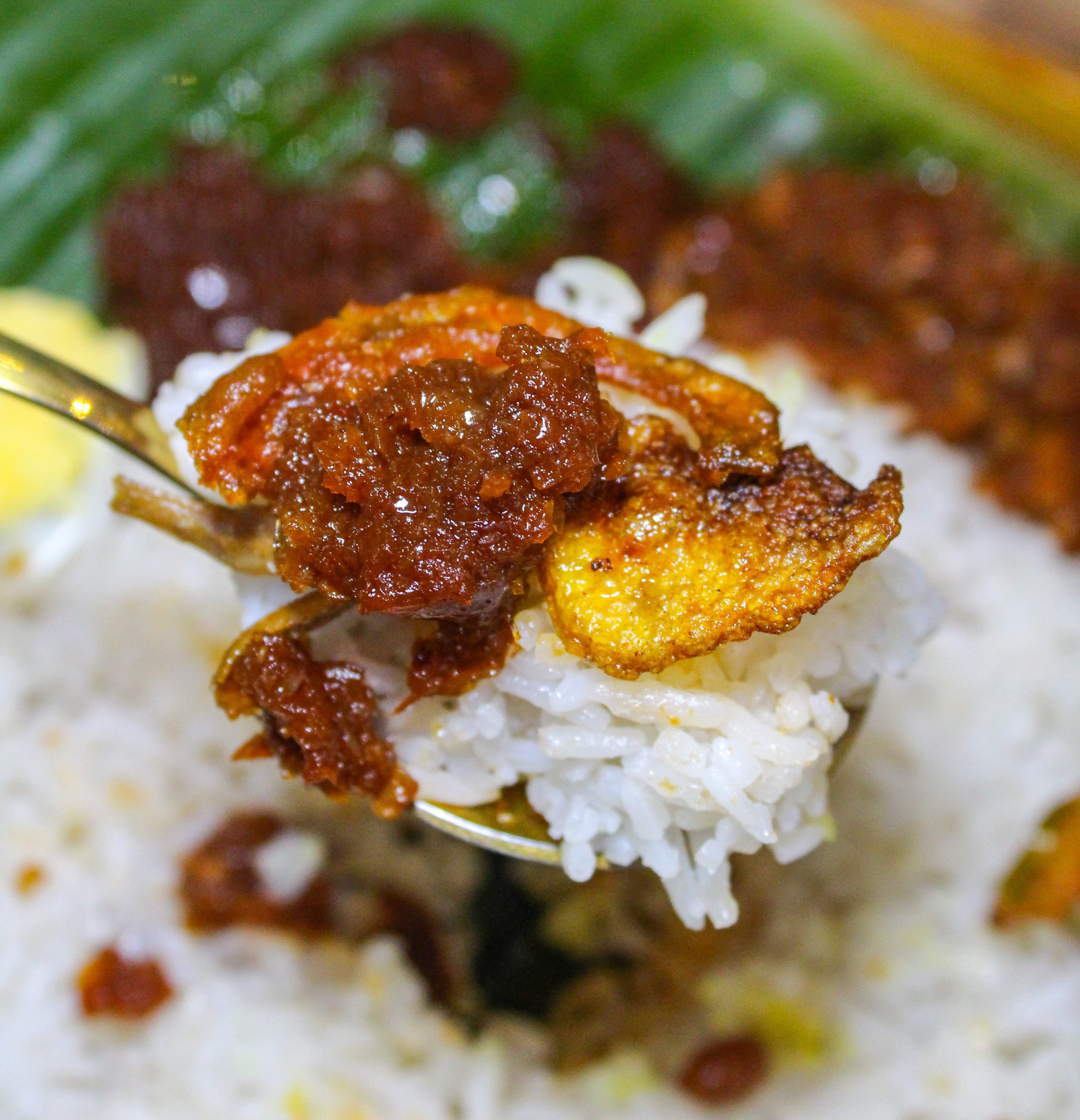 NEW Café in PJ Serves Nasi Lemak With 4 Types Of Sambal Including ...