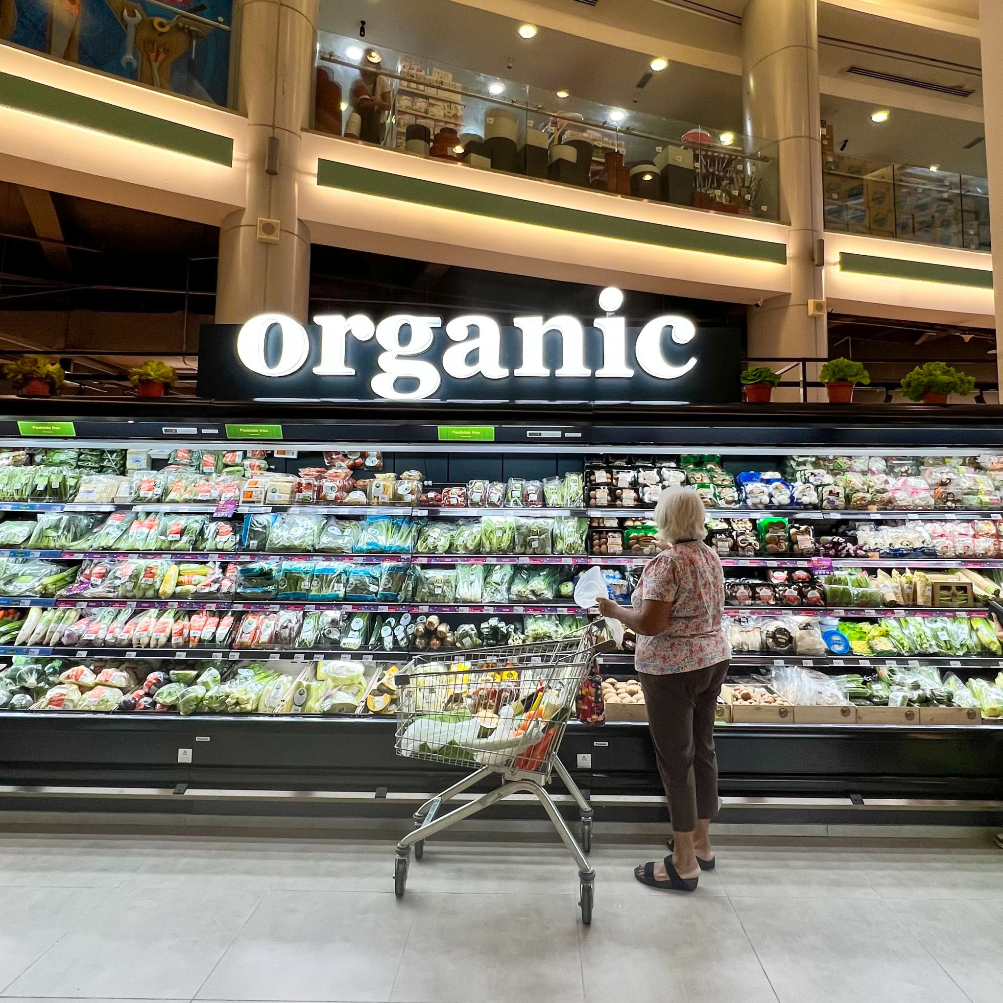 You Can Now Shop For Groceries At This NEW Village Grocer In Kota ...