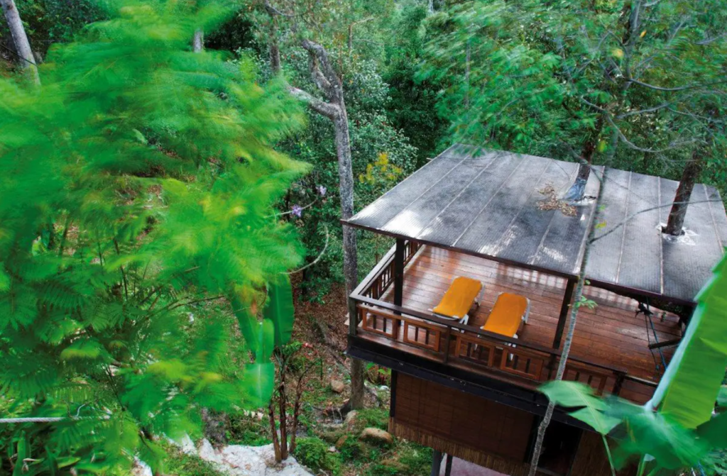 Durian Treehouse, Balik Pulau, Penang (1) - KL Foodie