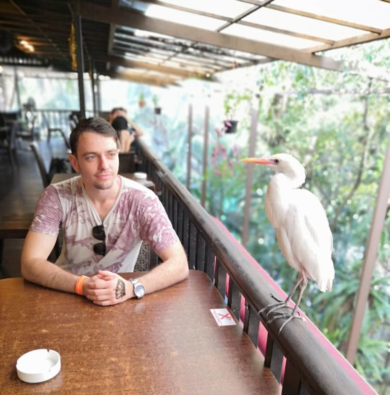 15 Pet Cafes With The Most Adorable Pets To Check Out In KL & PJ (2023 ...