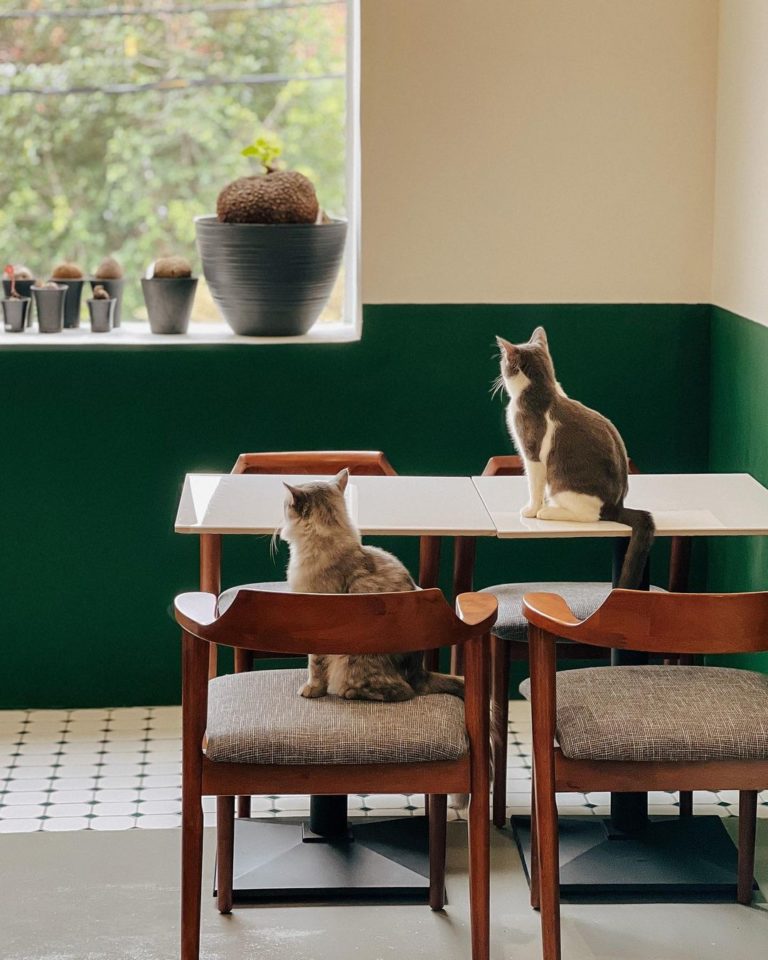 10 Cafes You Have To Visit At Taman Paramount, PJ (2024 Guide) - KL Foodie