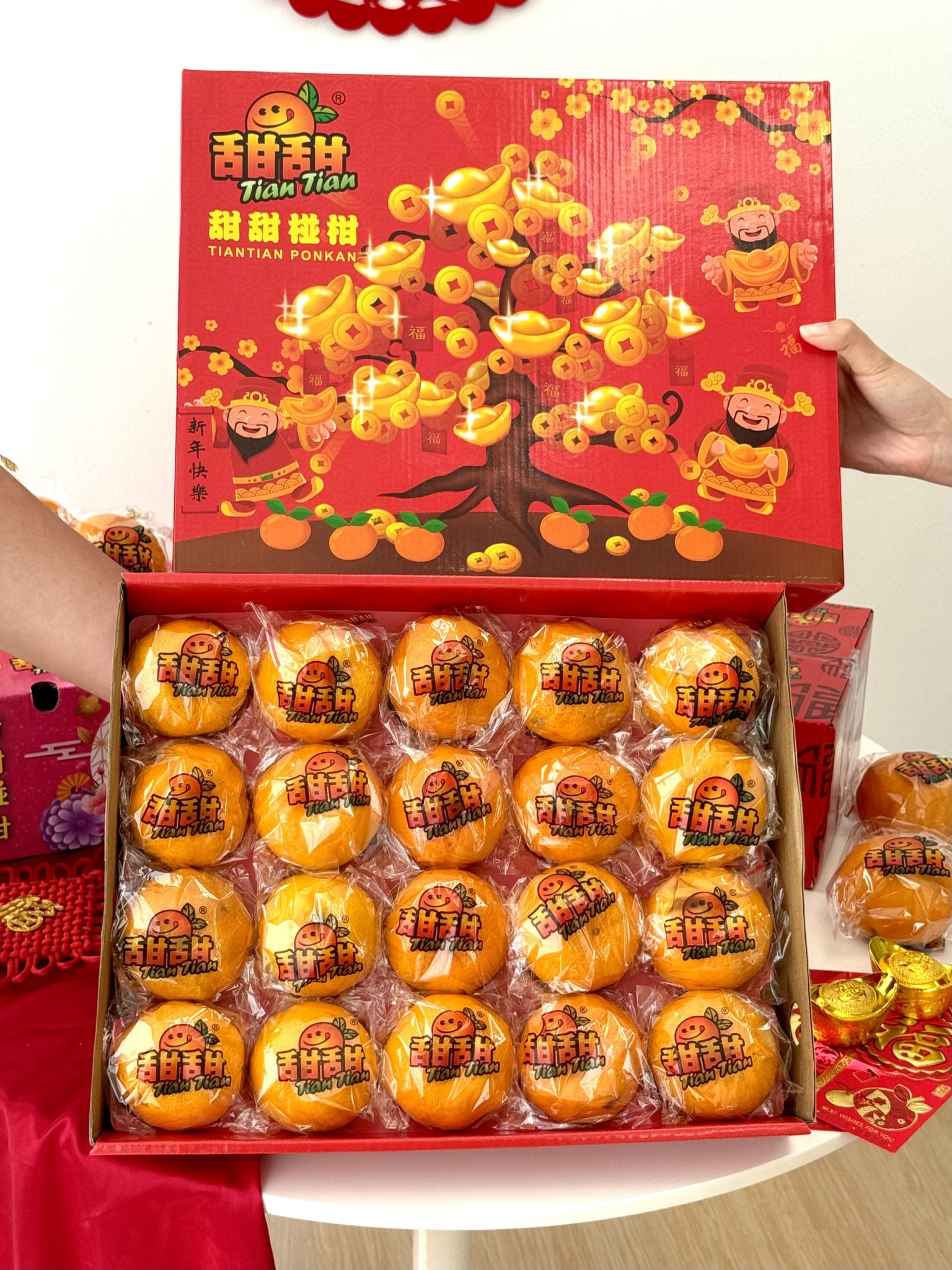 Celebrate A Snake-tacular Chinese New Year With Tian Tian Premium ...